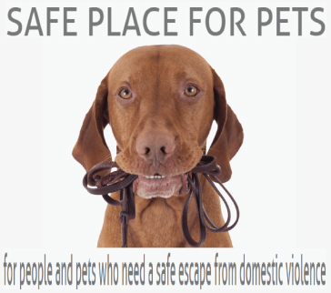 Home - Animals Deserve Better |Paws for Life