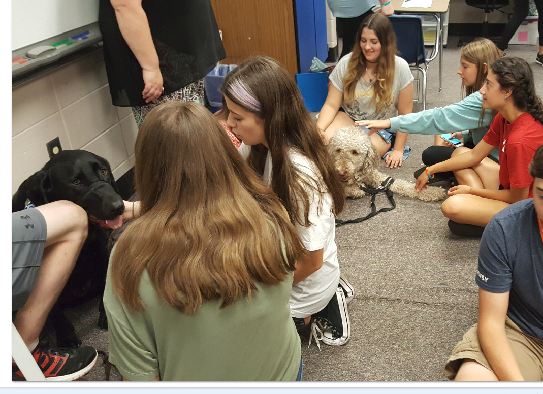 ADB Therapy Dogs go to High School - Paws for Life USA