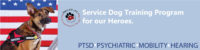 Home - Paws for Life USA