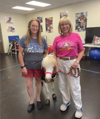A Therapy Mini Horse is what everyone needs - Paws for Life USA